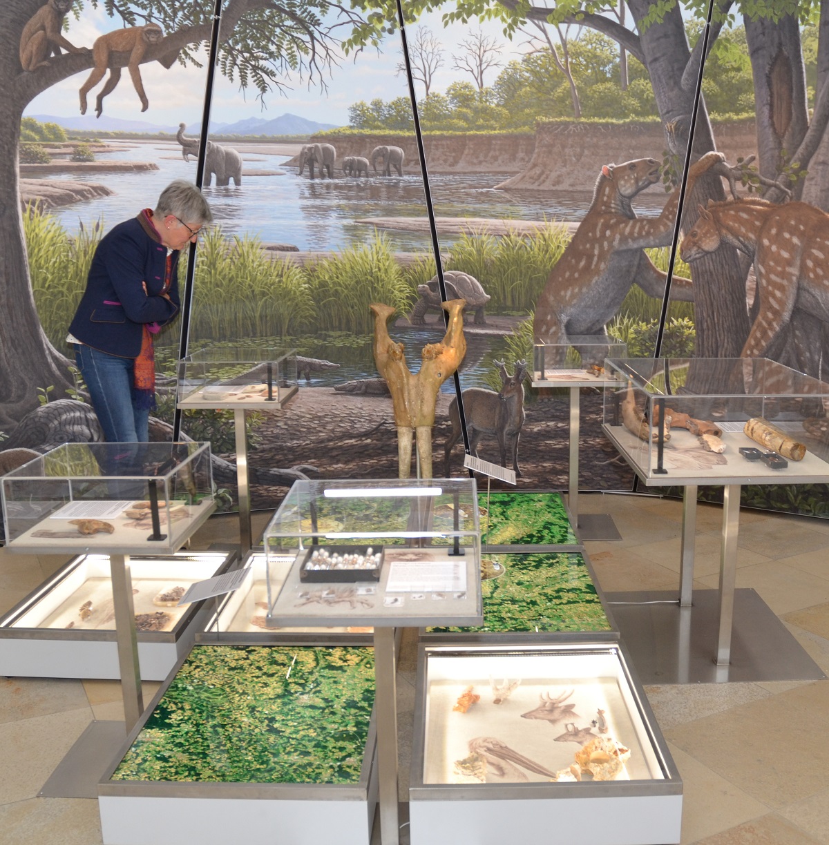 Willkommen im Molassic Park auf der Willibaldsburg - Bayern mittendrin